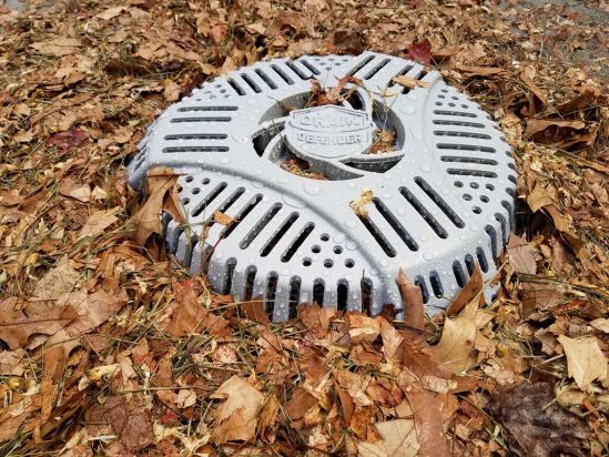 How to Clean a Basement Walkout Drain - Snapbuzzz.com